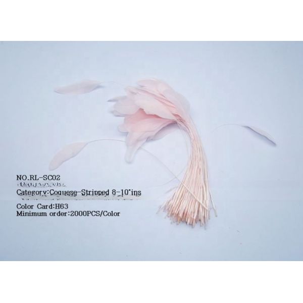Quality Dyed Pattern Party Decoration Stripped Rooster Coque Feather 12-14inch / 14 for sale