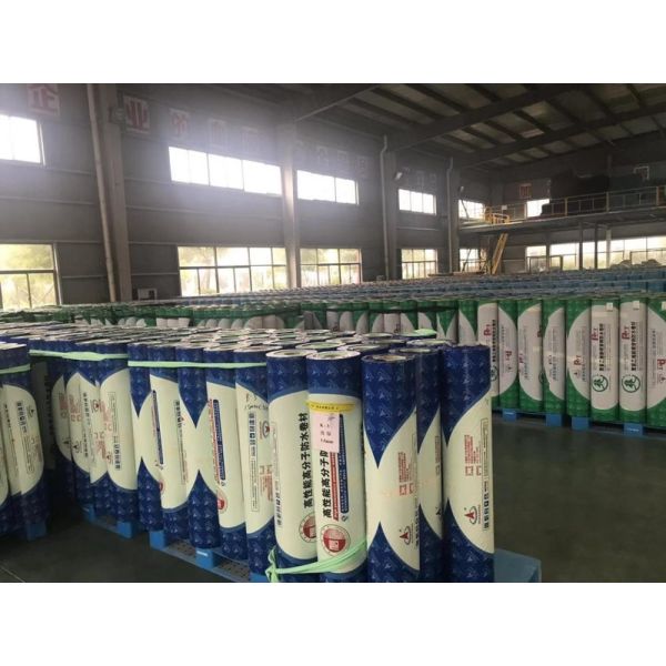 Quality Cross Layer Film Adhered Waterproof Membrane for Building Roof and Railway for sale