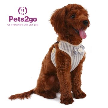 Quality Remote Dog Martingale Remote Control Lcd Training Collar Gentle Lead for sale