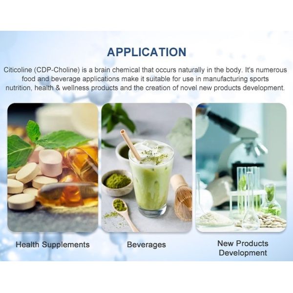 Quality High-Purity Citicoline 98% Powder (CDP Choline) for Cognitive Support & for sale