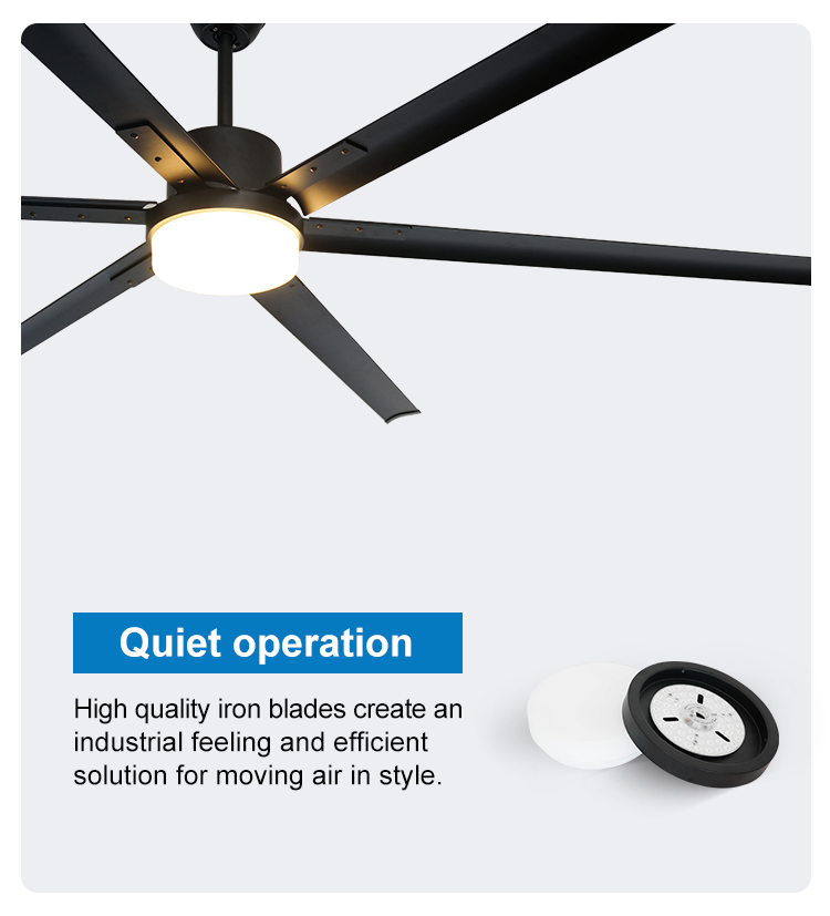 large ceiling fan