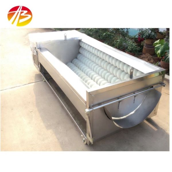 Quality Commercial Onion Cassava Turmeric Radish Taro Potato Washing and Peeling Machine for Busy for sale