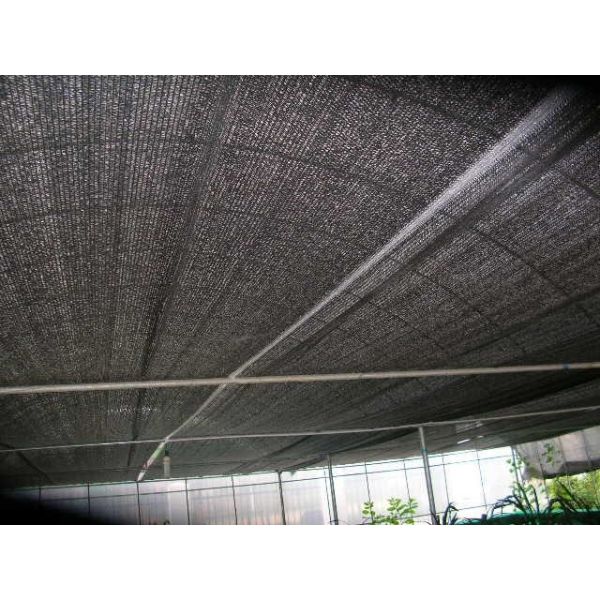 Quality Black PE Shade Net 60gsm Green House Agriculture Shading Net Anti-Hail Net for sale