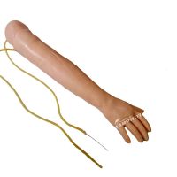Quality Medical Science Venipuncture and IM Injection Training Arm Model with Spared for sale