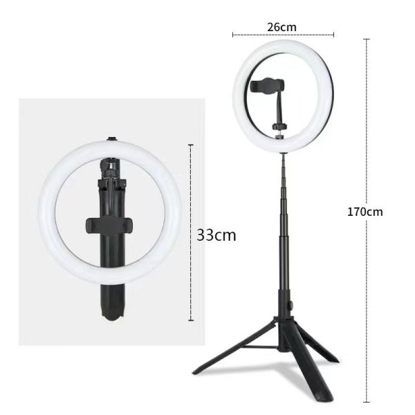 Quality 6000K 10 Inch Selfie Ring Light With Tripod for sale