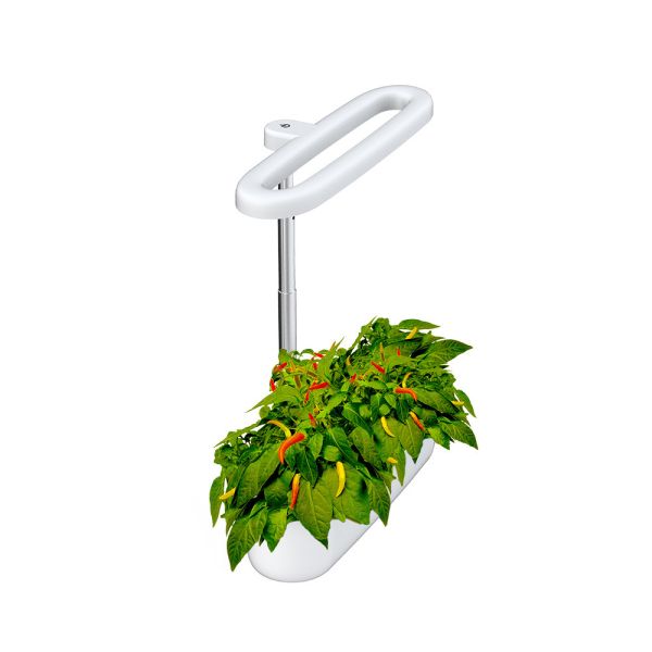 Quality Automated AC240V 12W Hydroponic Growing System Fertilizer Machine for sale