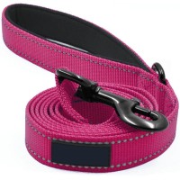 Quality Wide Nylon Reflective Dog Leash Soft Padded Customized Brand Logo Available for sale
