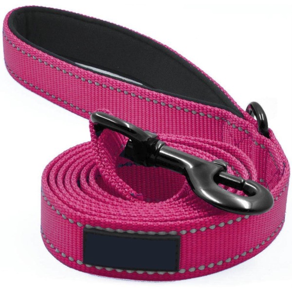 Quality Wide Nylon Reflective Dog Leash Soft Padded Customized Brand Logo Available for sale