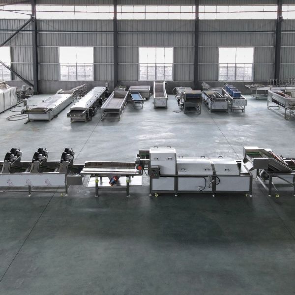 Quality Advanced Fruit and Vegetable Processing Equipment for Cleaning for sale
