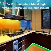 Quality USB Prot 1m 10W Smart Full Color Light Strip 16 Million Colors 10m IP65 for sale