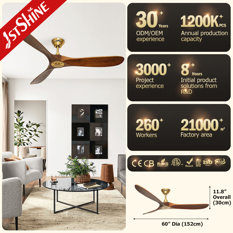 ceiling fan