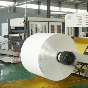 Quality Coated Paper Roll Single Double PE Coated Produce Paper Cup Roll 150-350GSM for sale