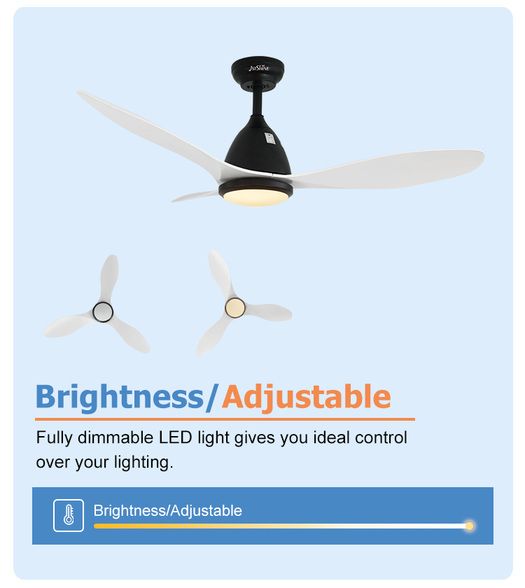 ceiling fan
