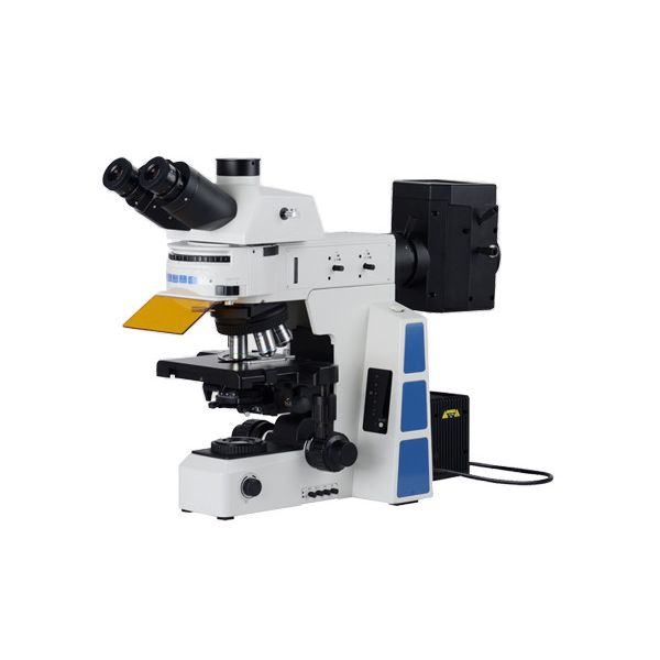 Quality Trinocular APO Led Fluorescent Microscope PL10x22mm Trinocular Head for sale