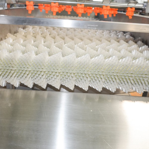 Quality Brush Vegetable Cleaning Peeling Machine for sale